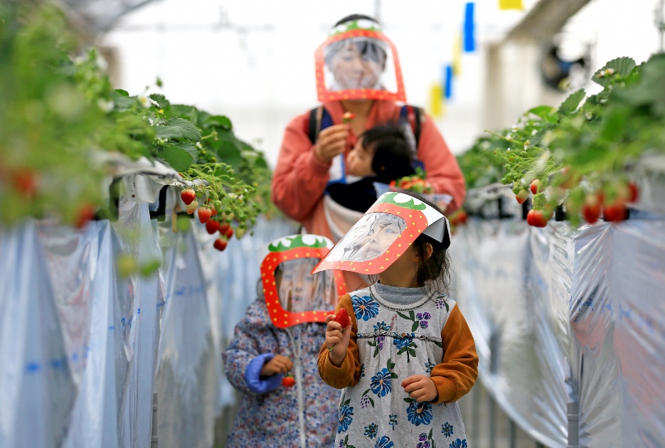 Eurasia Group | The best global responses to the Covid-19 pandemic, 1 ...